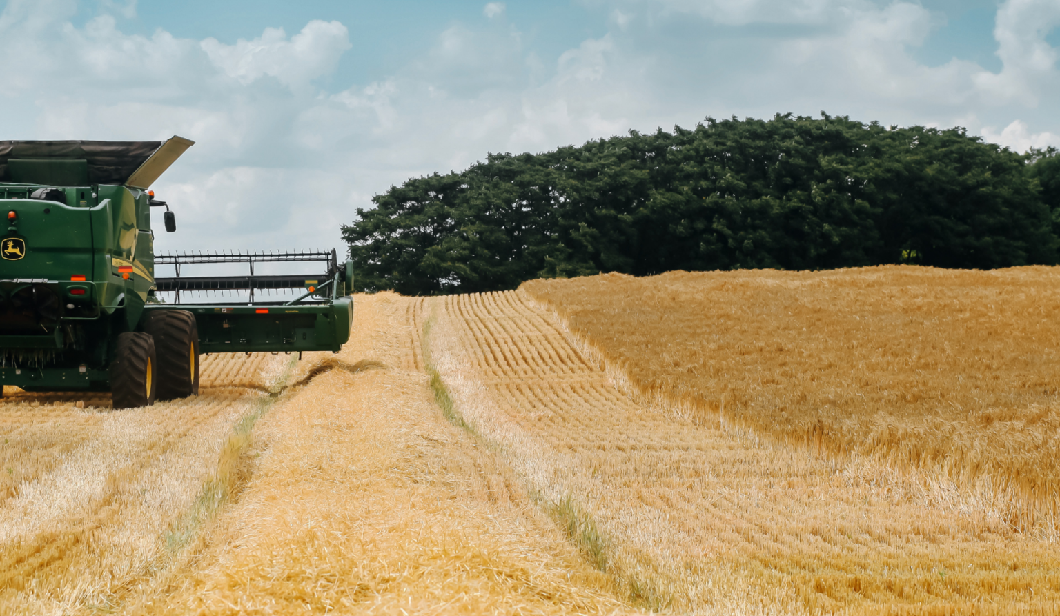 Home | Eight Oaks Farm Distillery