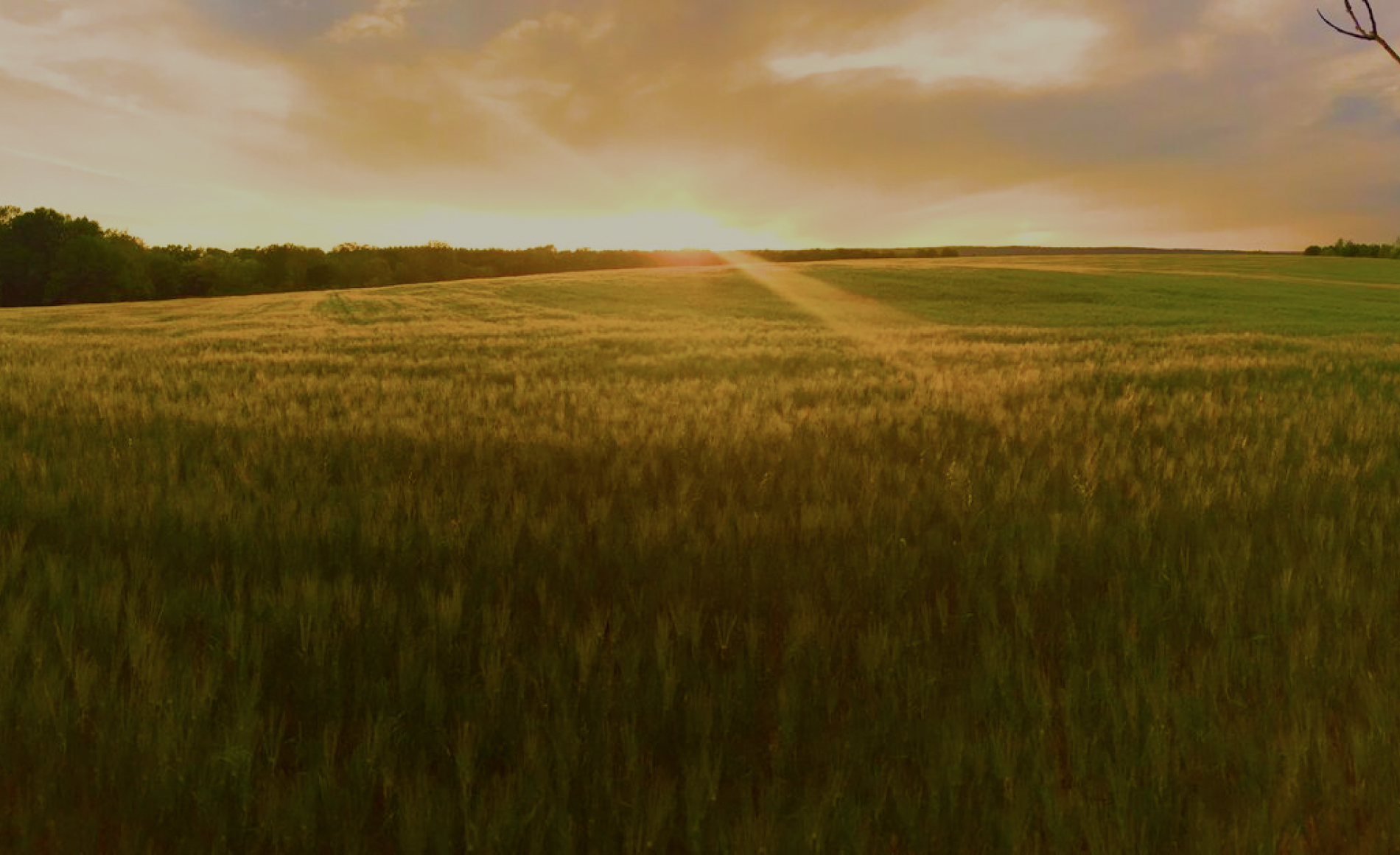 Philosophy | Eight Oaks Farm Distillery