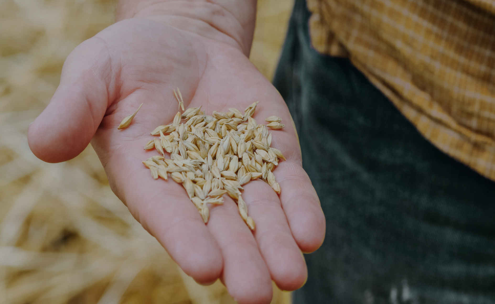 Philosophy | Eight Oaks Farm Distillery