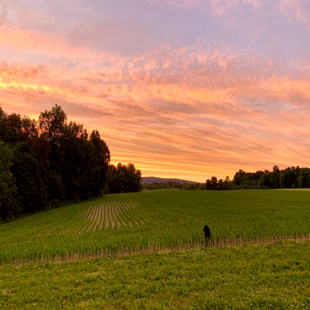 Visit | Eight Oaks Farm Distillery