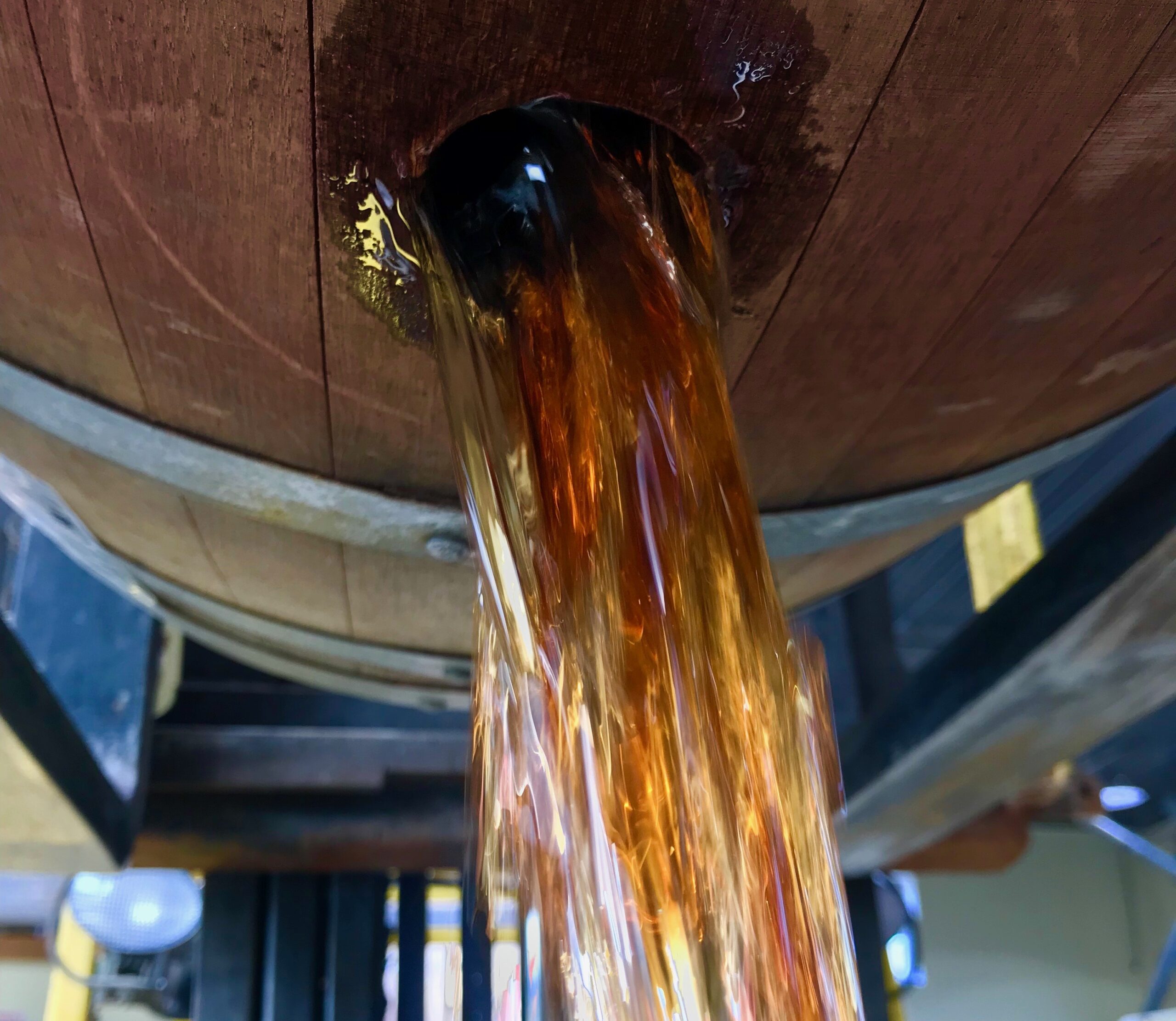 Exploring the Different Types of Rye and Their Impact on Rye Whiskey ...