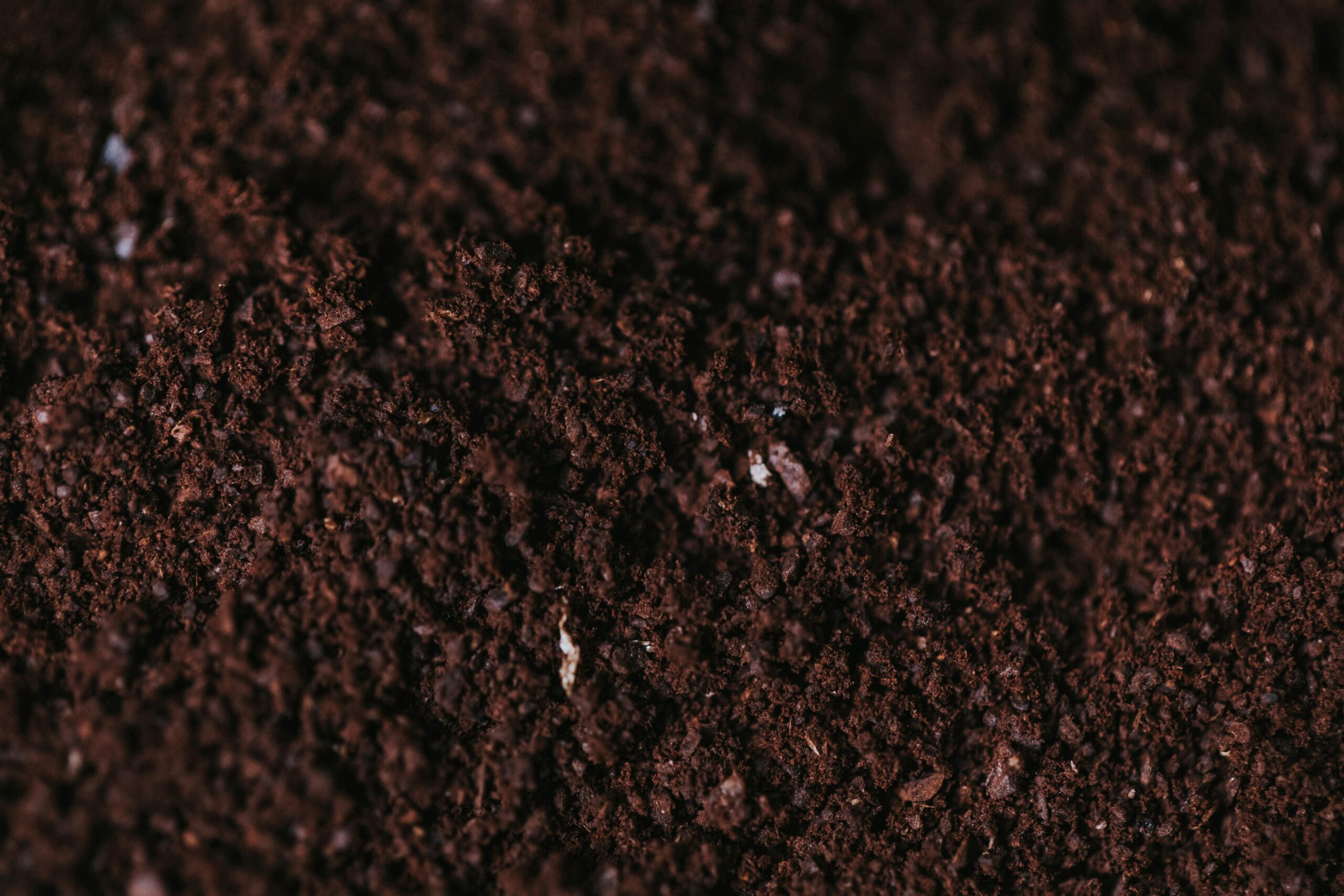 The Hidden Heroes of the Soil: How Microorganisms Support Regenerative ...
