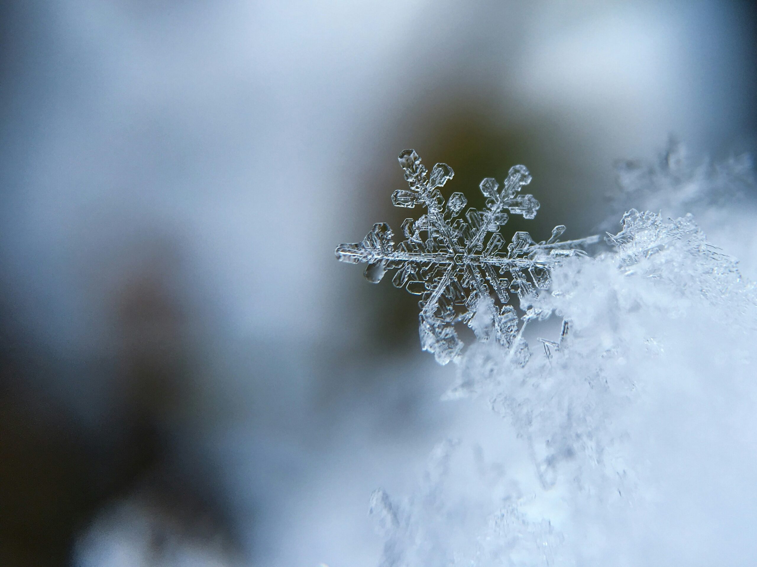 Winter Distilling: How Cold Weather Shapes Fermentation & Flavor ...